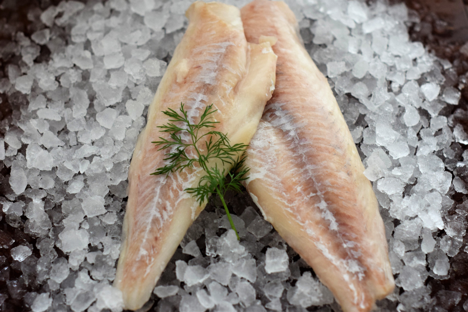 MSC Haddock fillet ap100-200g/5kg frozen
